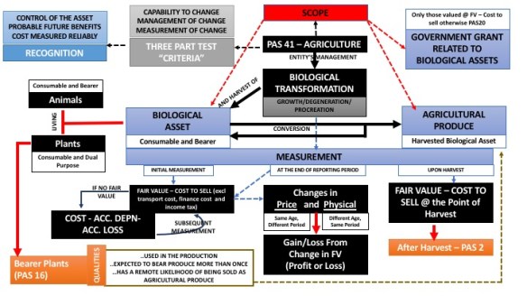 PAS 40 AND PAS 41 | REIBORN