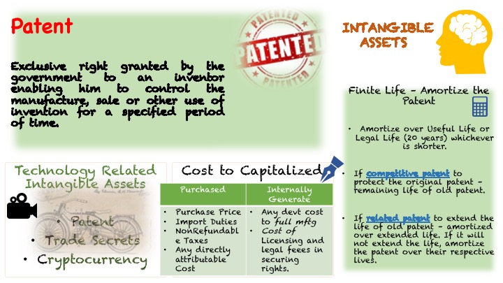 Identifiable Intangible Assets (Application Summary) | REIBORN