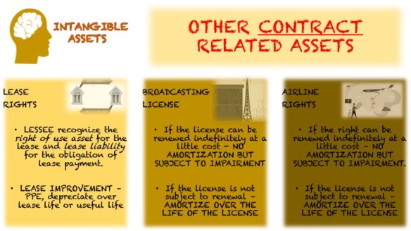 Identifiable Intangible Assets (Application Summary) | REIBORN