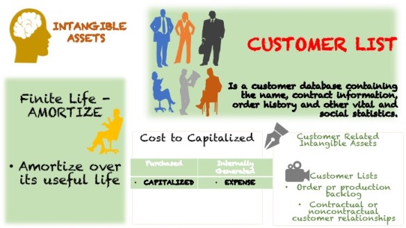 Identifiable Intangible Assets (Application Summary) | REIBORN