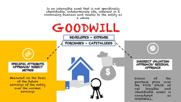 Intangible Asset and Goodwill (Application Summary) | REIBORN